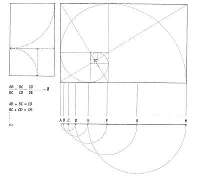 Image result for Extended Proportion