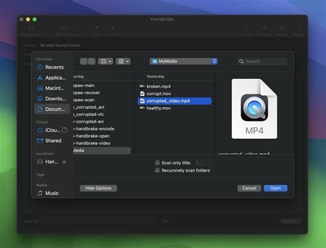 Image result for Corrupted MP4 File