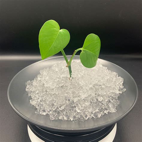 Image result for SAP Super Absorbent Polymer Powder