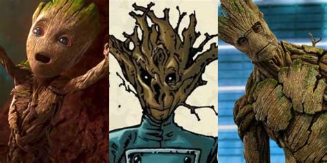 Image result for Groot Information