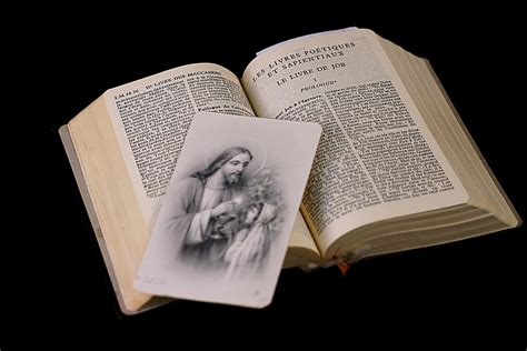 Image result for Scripture Bible Book