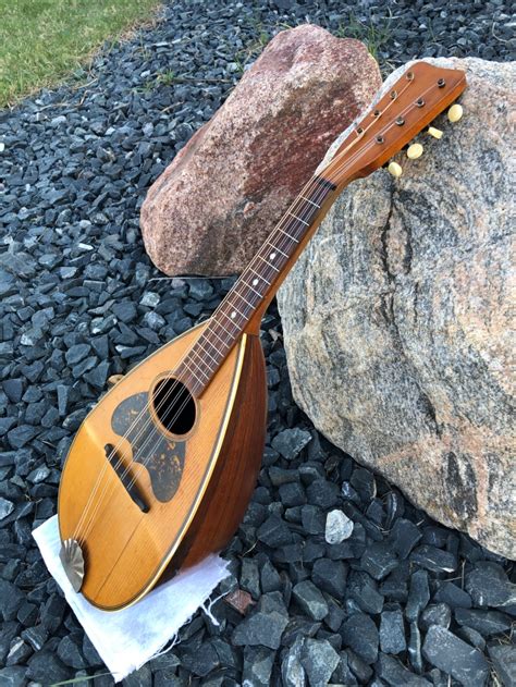 Image result for Round Back Mandolin