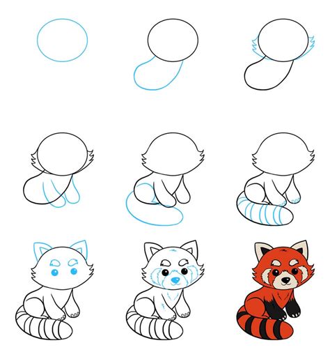 Image result for Red Panda Drawing