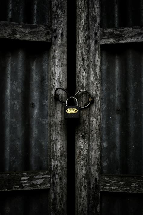 Image result for Free Looping