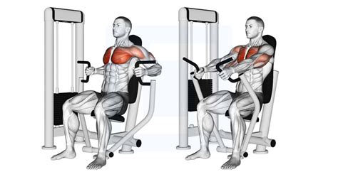 Image result for Fly Press Workout