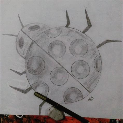 Image result for Ladybug Pencil Color