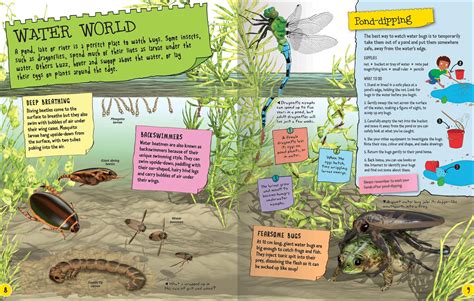 Image result for Project Science Insects Book Cover