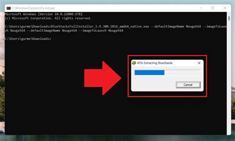 Image result for Bluestacks 5 Installation Guide