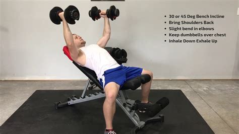Image result for Bench Chest Fly