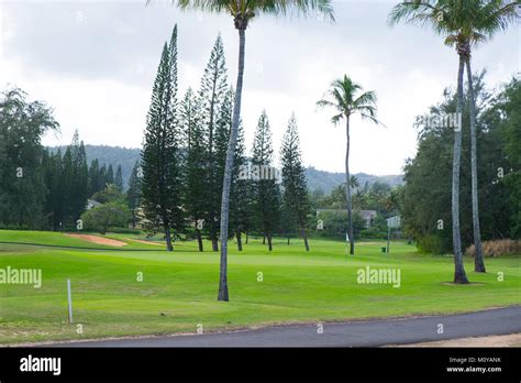 Image result for Turtle Bay Golf Course