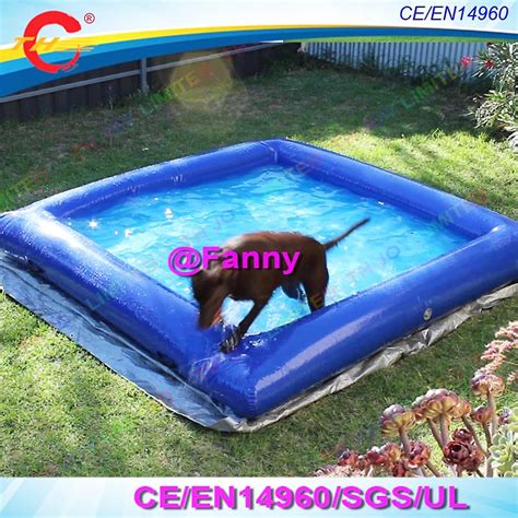 Image result for Inflatable Dog Pool