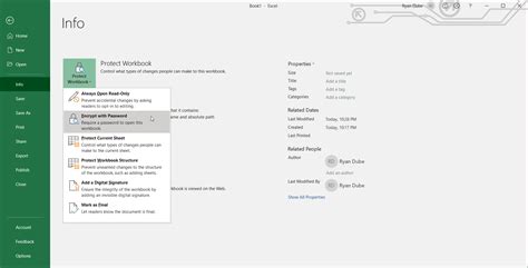 Image result for Encrypt Excel File with Password