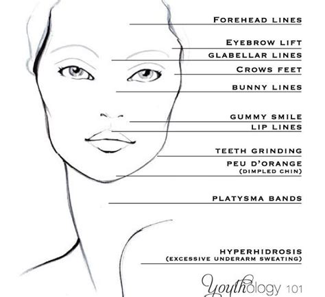 Image result for Botox Injection Face Chart