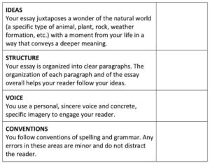 Image result for NetTutor Feedback Writing