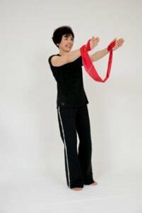 Image result for Back Fly Exercise