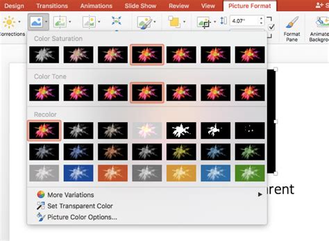Image result for Set Transparent Color in PowerPoint Single Color in Picture