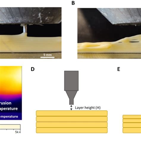 Image result for How to Check Density for Processed Cheese
