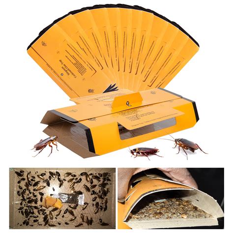 Image result for Cockroach Sticky Traps