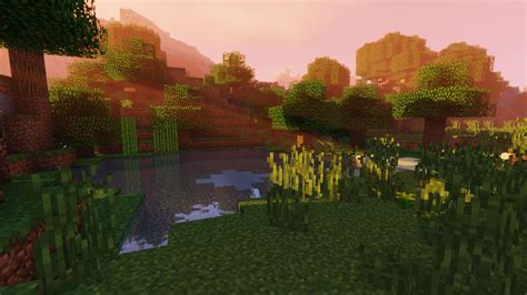Image result for Minecraft Visual Mods