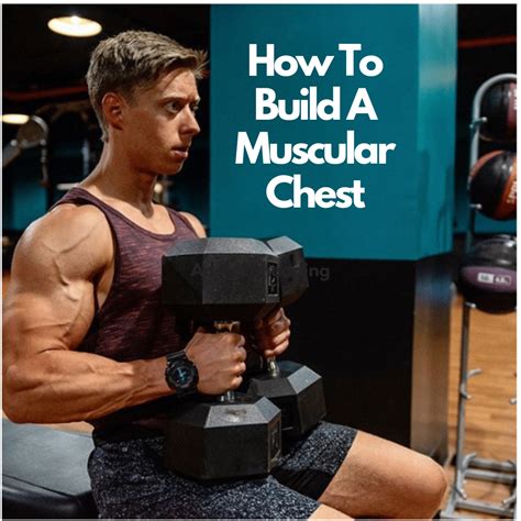 Image result for Build Chest Muscles