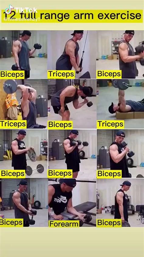 Image result for Arm Exercise Routine