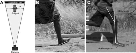 Image result for Camera Track Line Area