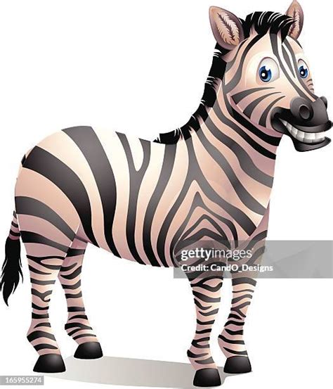 Image result for Smiling Zebra