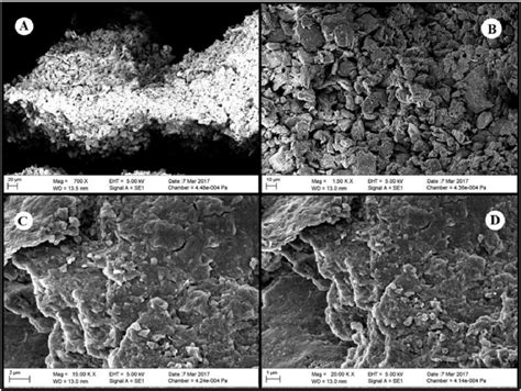 Image result for Humic Acid Sem