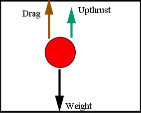 Image result for What Is Actually Upthrust Force