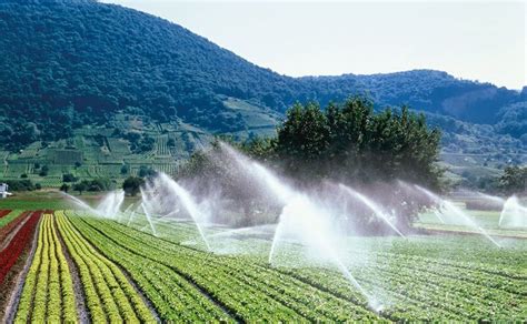 Image result for Rural Development Projects