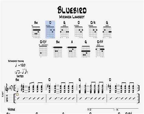 Image result for Miranda Lambert Guitar Tutorial