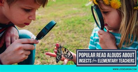 Image result for Insect Read Book