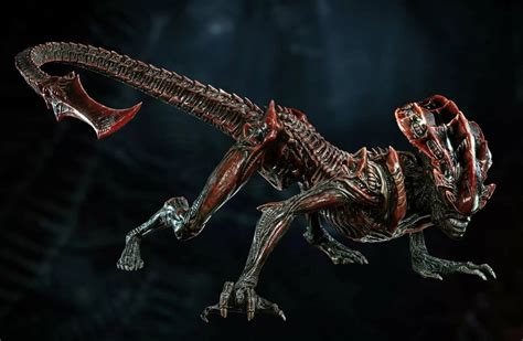 Image result for Xenomorph Types List