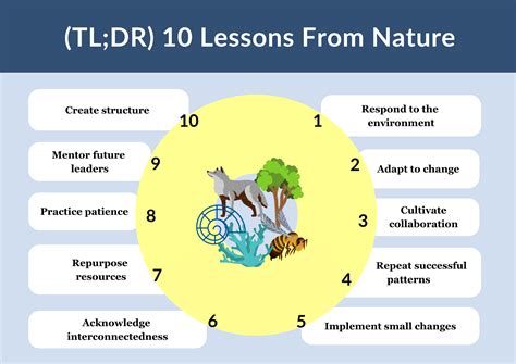 Image result for Top 10 Leadership Lessons