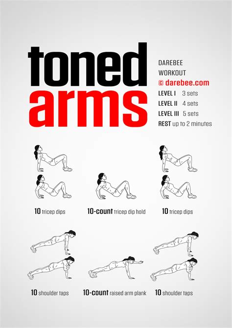 Image result for Arm Toning Workouts