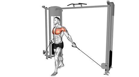 Image result for Chest Workout Machine