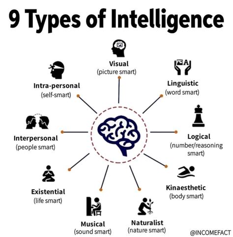 Image result for Types of Human Intelligence