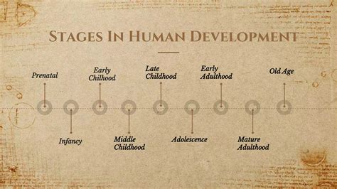 Image result for Stages of Development