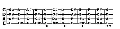 Image result for Bass Notes All Types