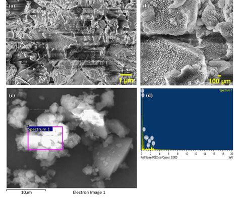 Image result for Humic Acid Sem