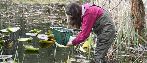 Image result for Salt Spring Island Conservancy