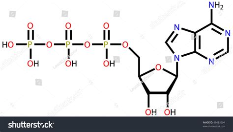 Image result for ATP Formula