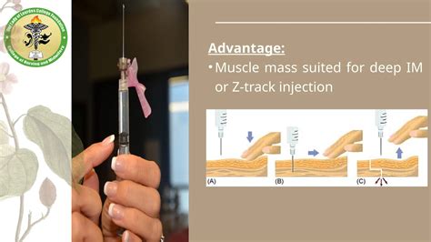 Image result for Intramuscular Injection