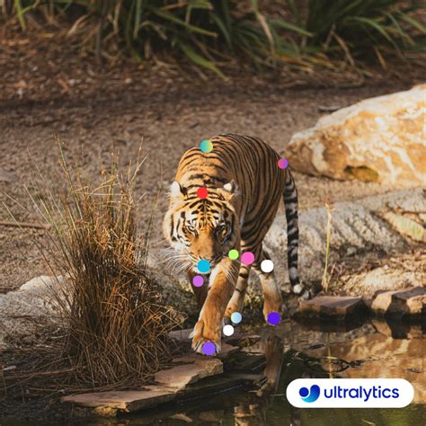 Image result for Ultralytics Visual Text Model