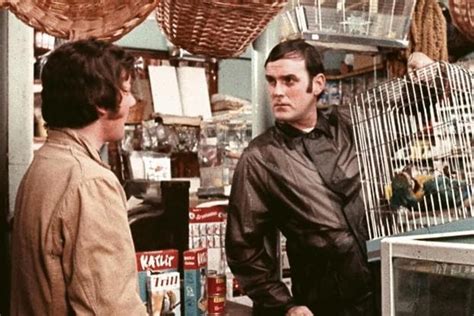 Image result for Monty Python Parrot