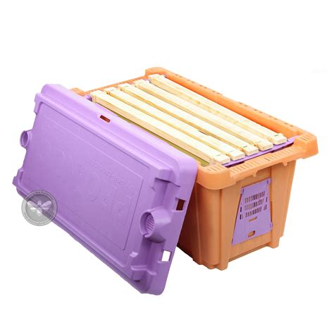 Image result for Five Frame Nuc Box