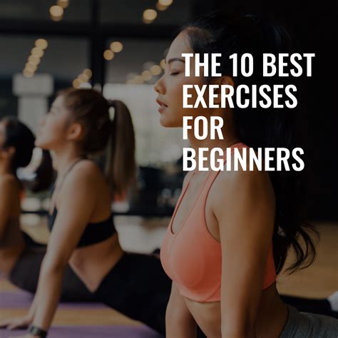 Image result for Daily Exercise for Beginners