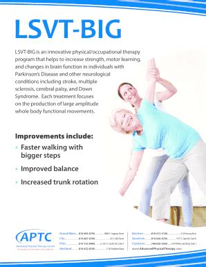 Image result for LSVT Big Programm PDF