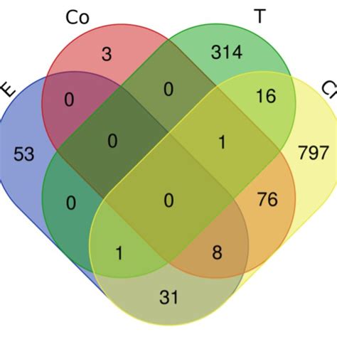 Image result for TLR Signaling Pathway