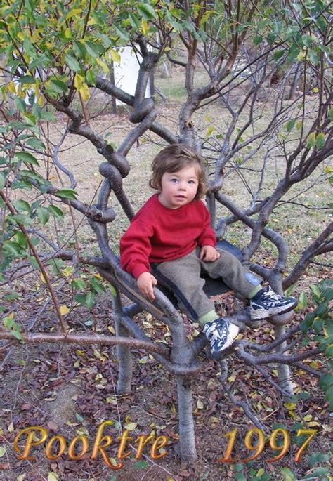 Image result for Tree Shaping Practices